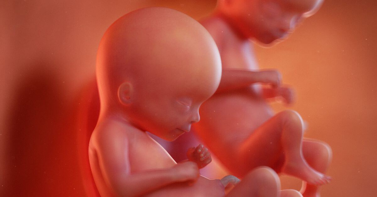 Unborn babies who die before 24 weeks gestation to receive recognition