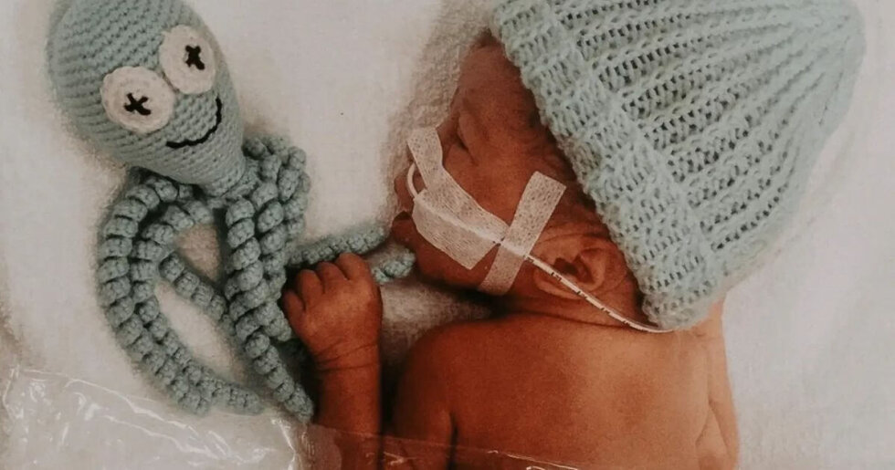 Knitted octopus toys help save premature babies' lives