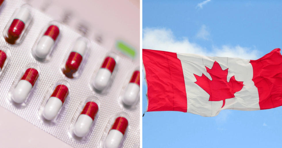 Canadian euthanasia campaigner: 'I may have chosen to live if better ...